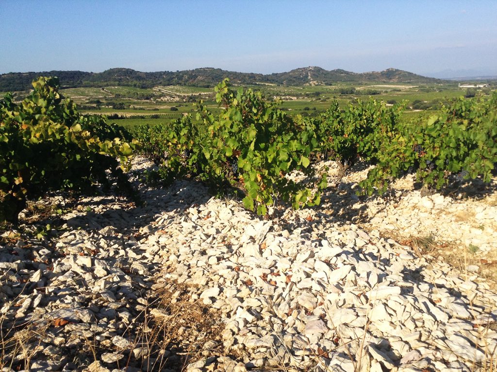 Les sols des vignes de la cave | Domaine Florence Mejan